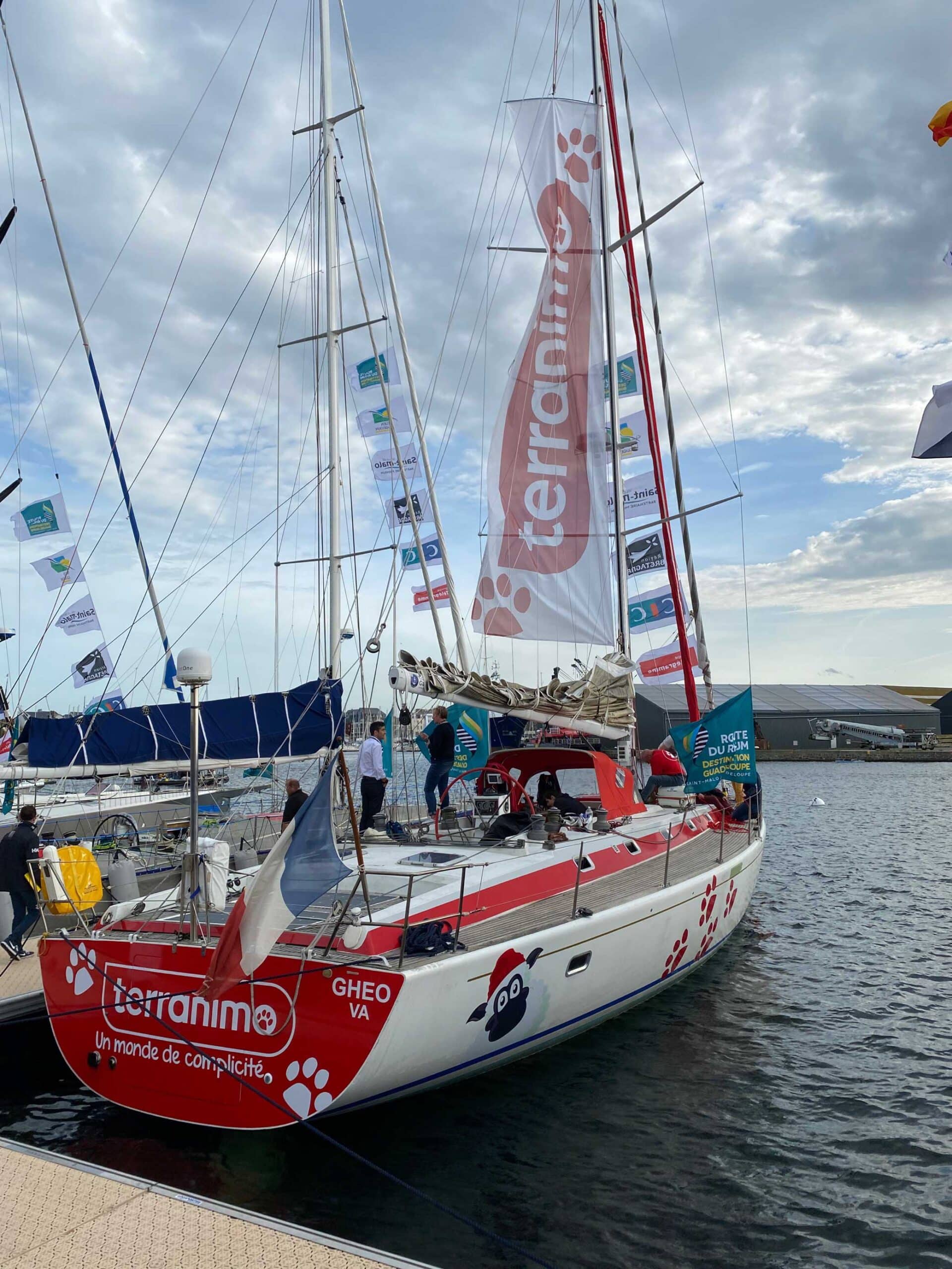 Terranimo et la route du rhum | Wondercrush